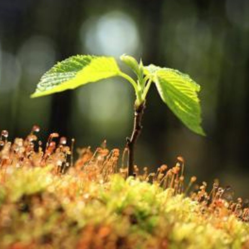 知识星球 | 深度连接铁杆粉丝，运营高品质社群，知识变现的工具