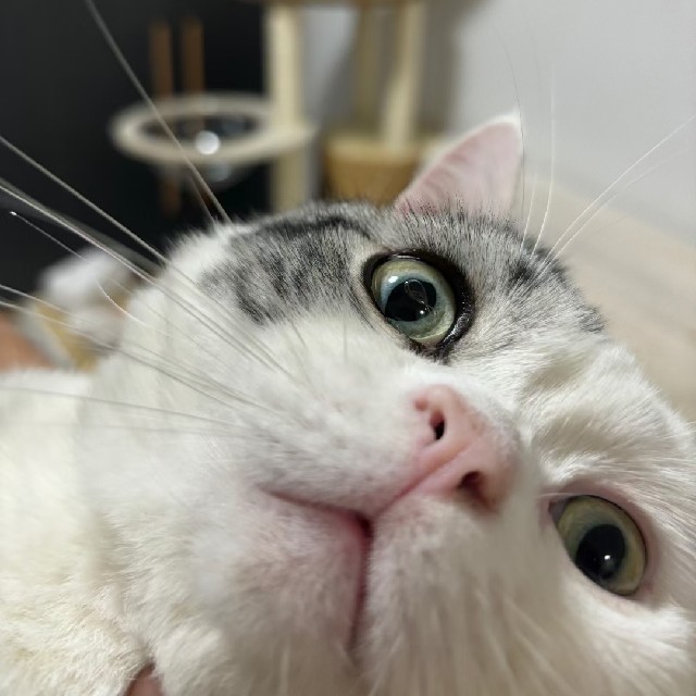 知识星球 | 深度连接铁杆粉丝，运营高品质社群，知识变现的工具